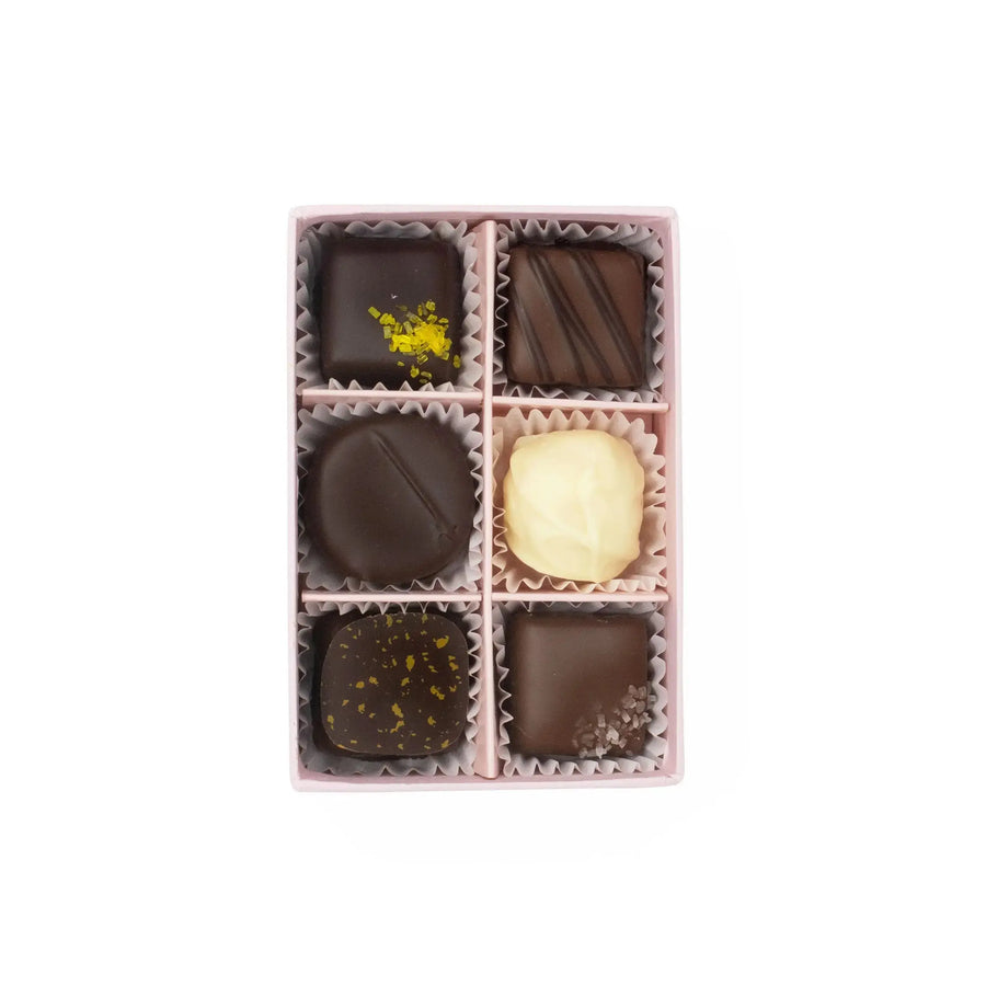 Mini Cat that Got the Cream Chocolate Collection – Rococo Chocolates
